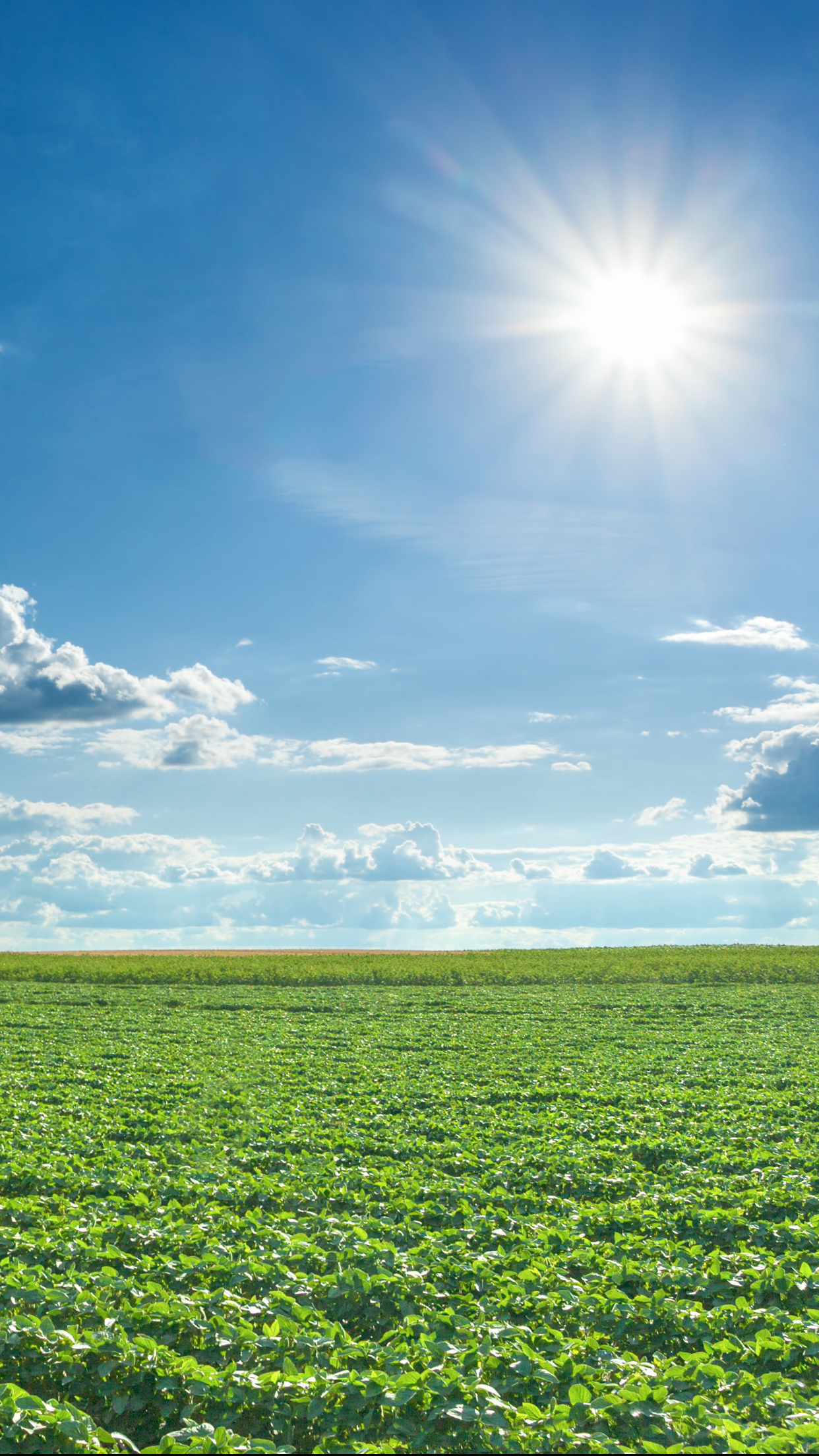 National Ag Week