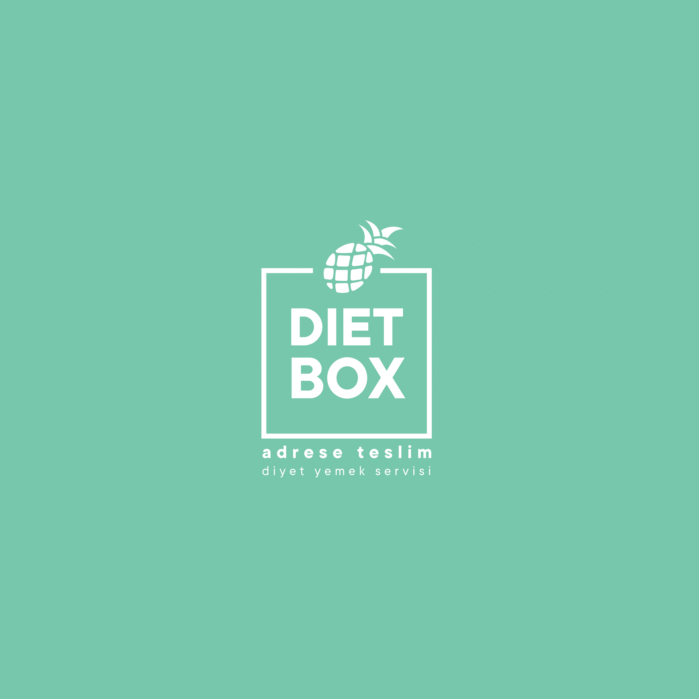 Diet Box – Medium