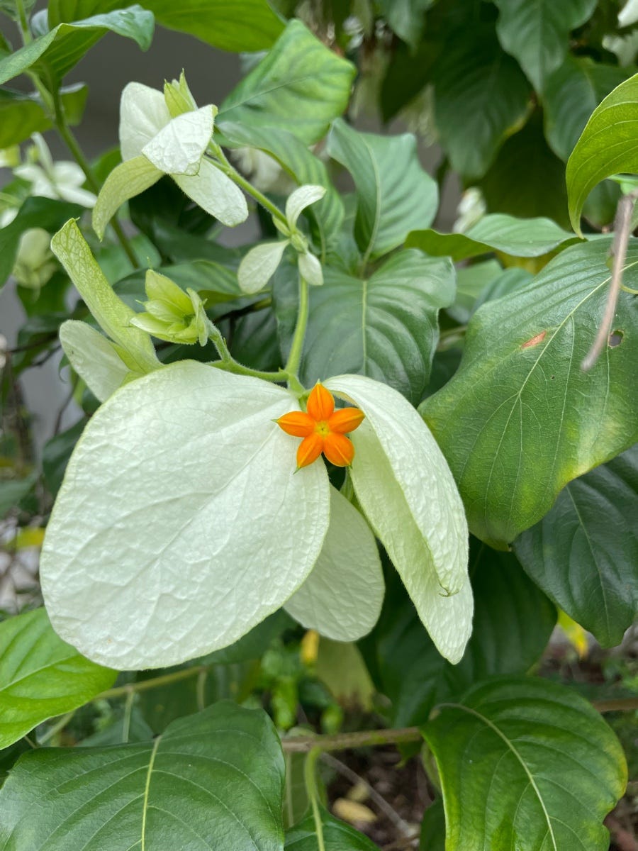 About – R. Rangan PhD – Medium