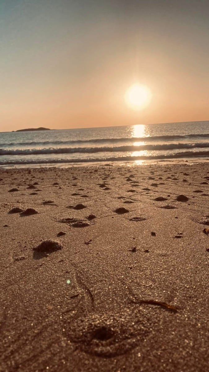 Lizeth ll – Medium