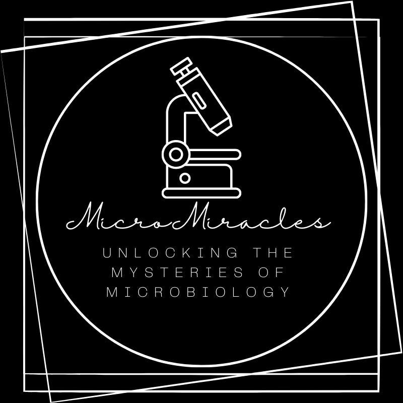 Micro Miracles – Medium