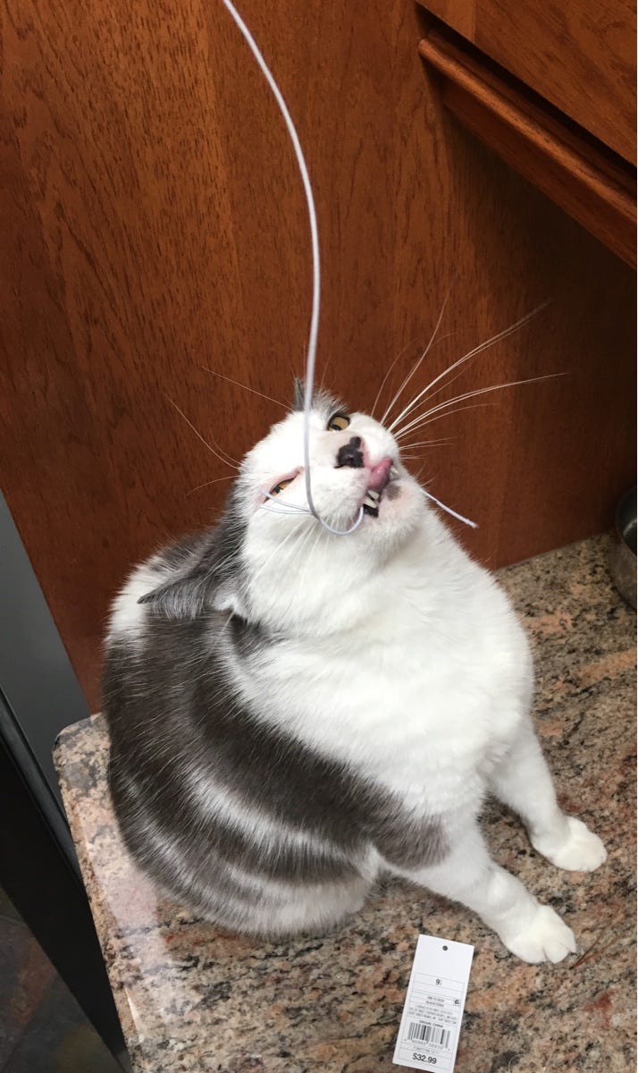 Sarah Lindmar – Medium