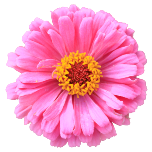 soliman abo yousoof – Medium