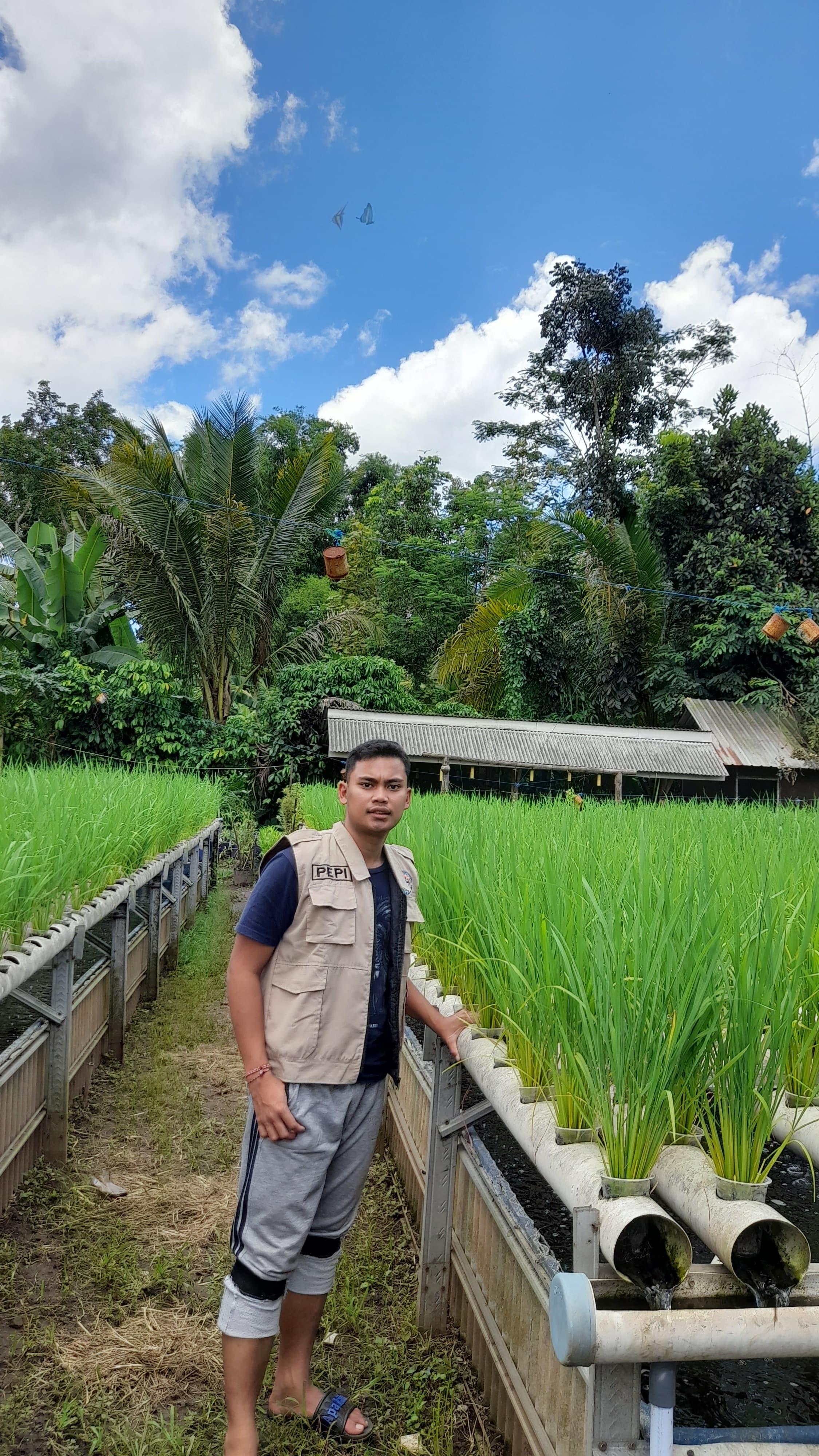 About – I Dewa Agung Bagus Adityaningrat – Medium