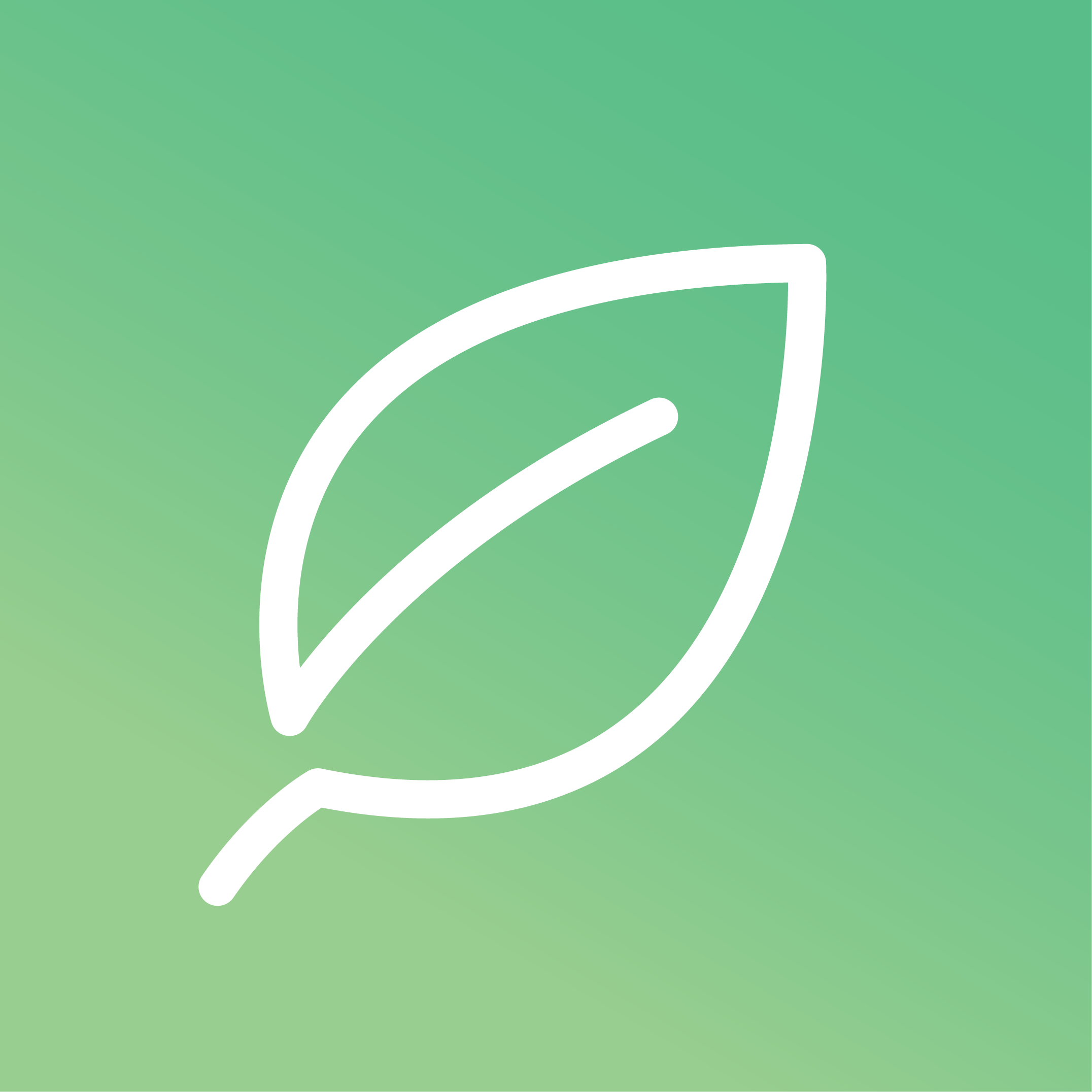 Incaberry – Medium