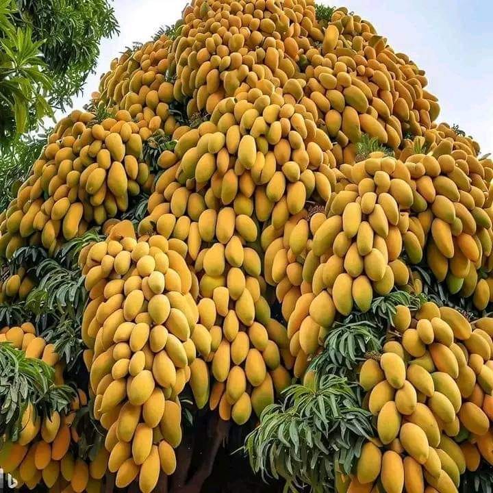 About – Bipul Sikder – Medium