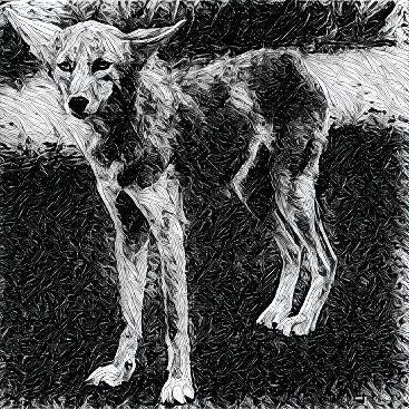 About – Ted Grudin – Medium