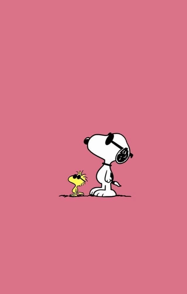 Suchita Malick – Medium