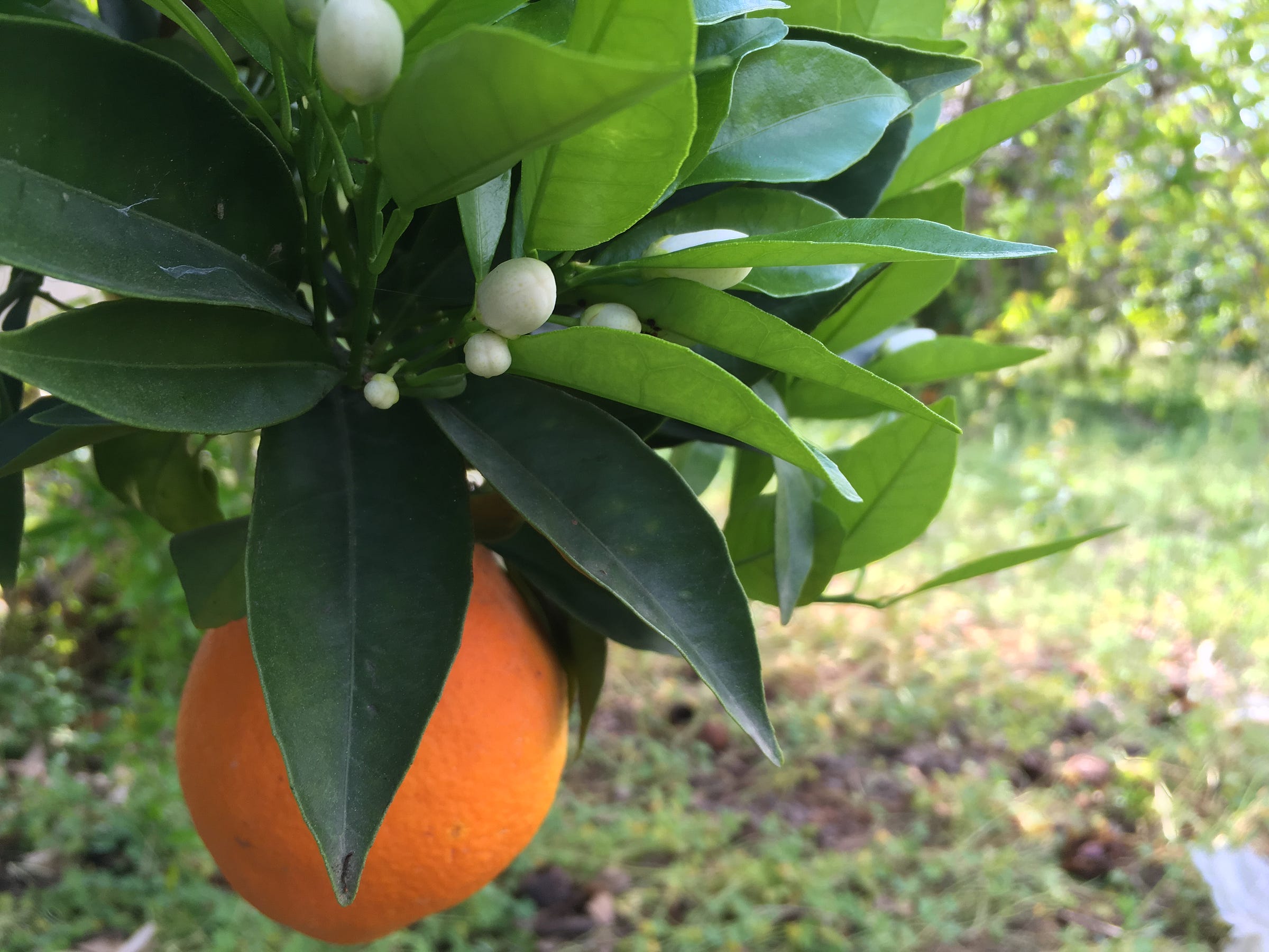 About – Miguel Alcalde – Medium