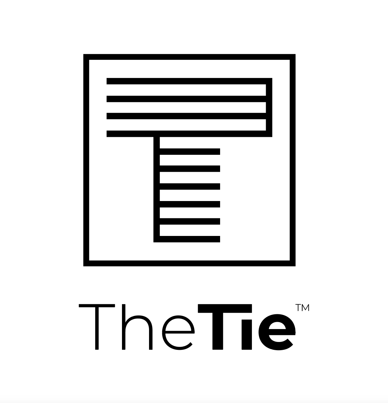 TheTIE Development Team – Medium