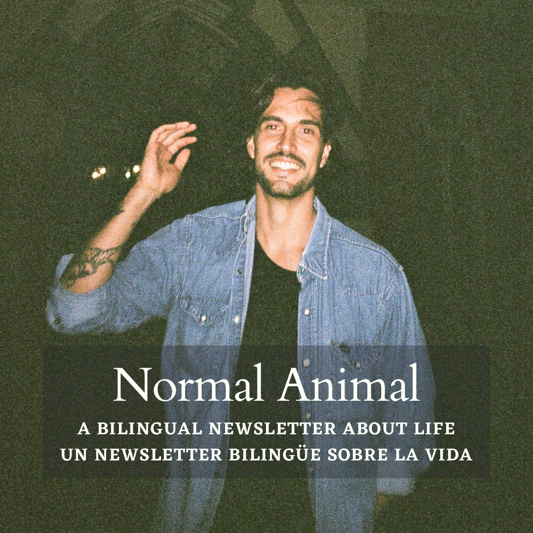 Normal Animal – Medium