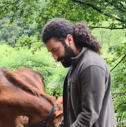 Hamed Hamedi – Medium