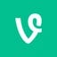 Vine – Medium