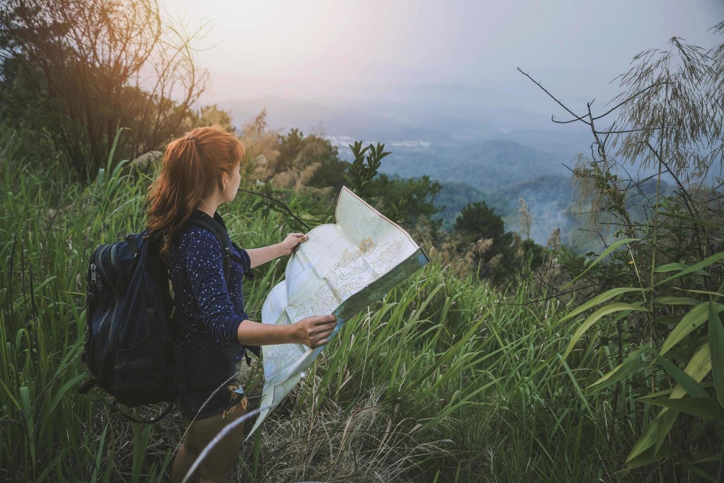 Amber crazy traveler – Medium