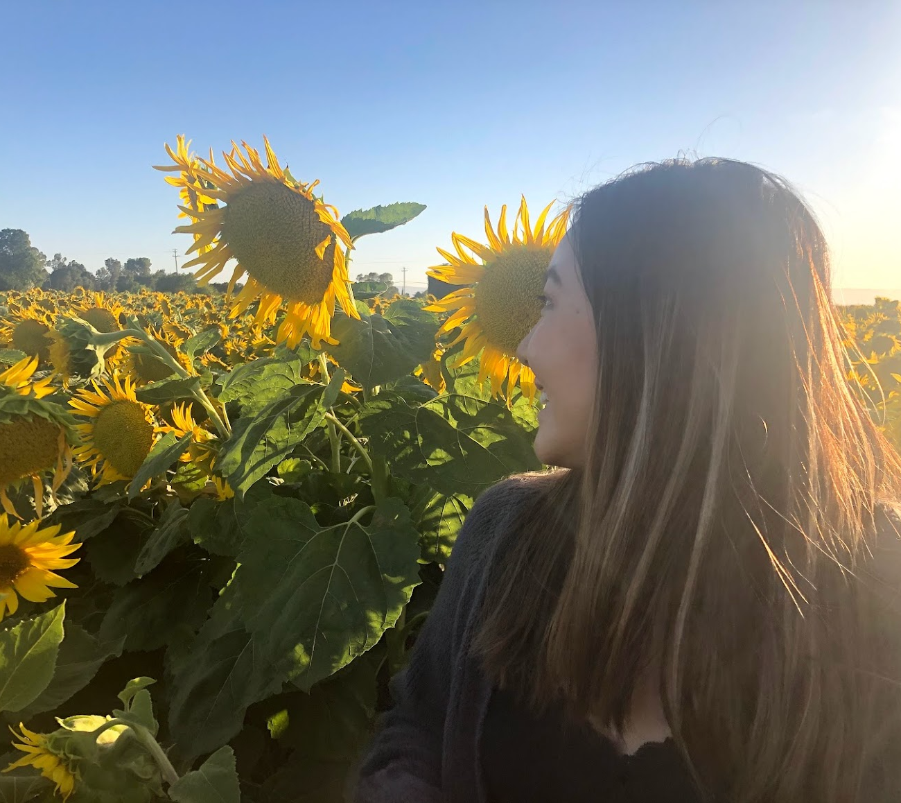 Ellie V – Medium