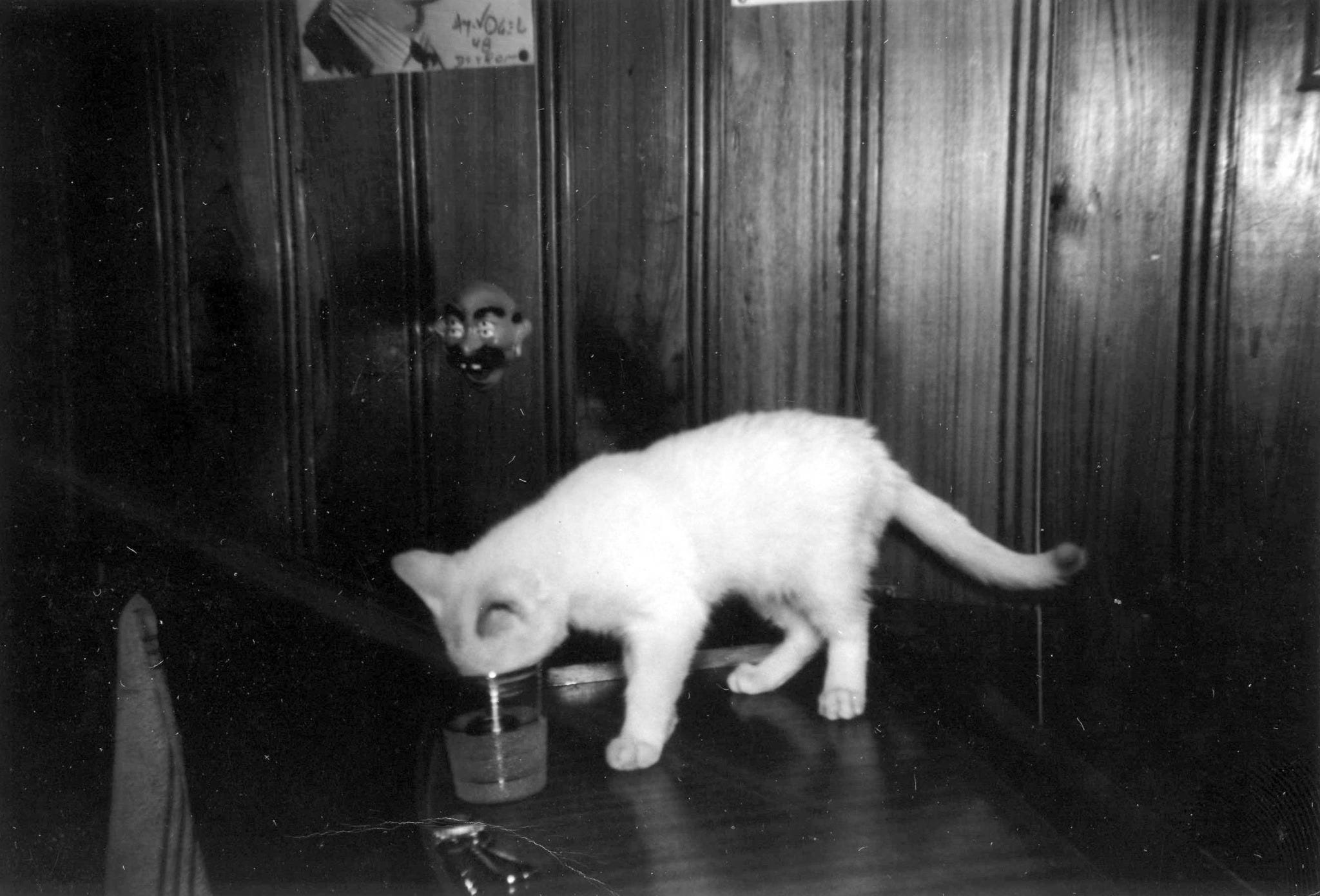 About – Mateus P. Carneiro – Medium