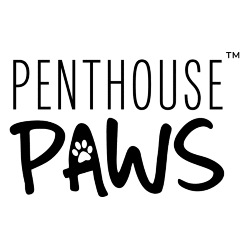 Penthouse Paws – Medium