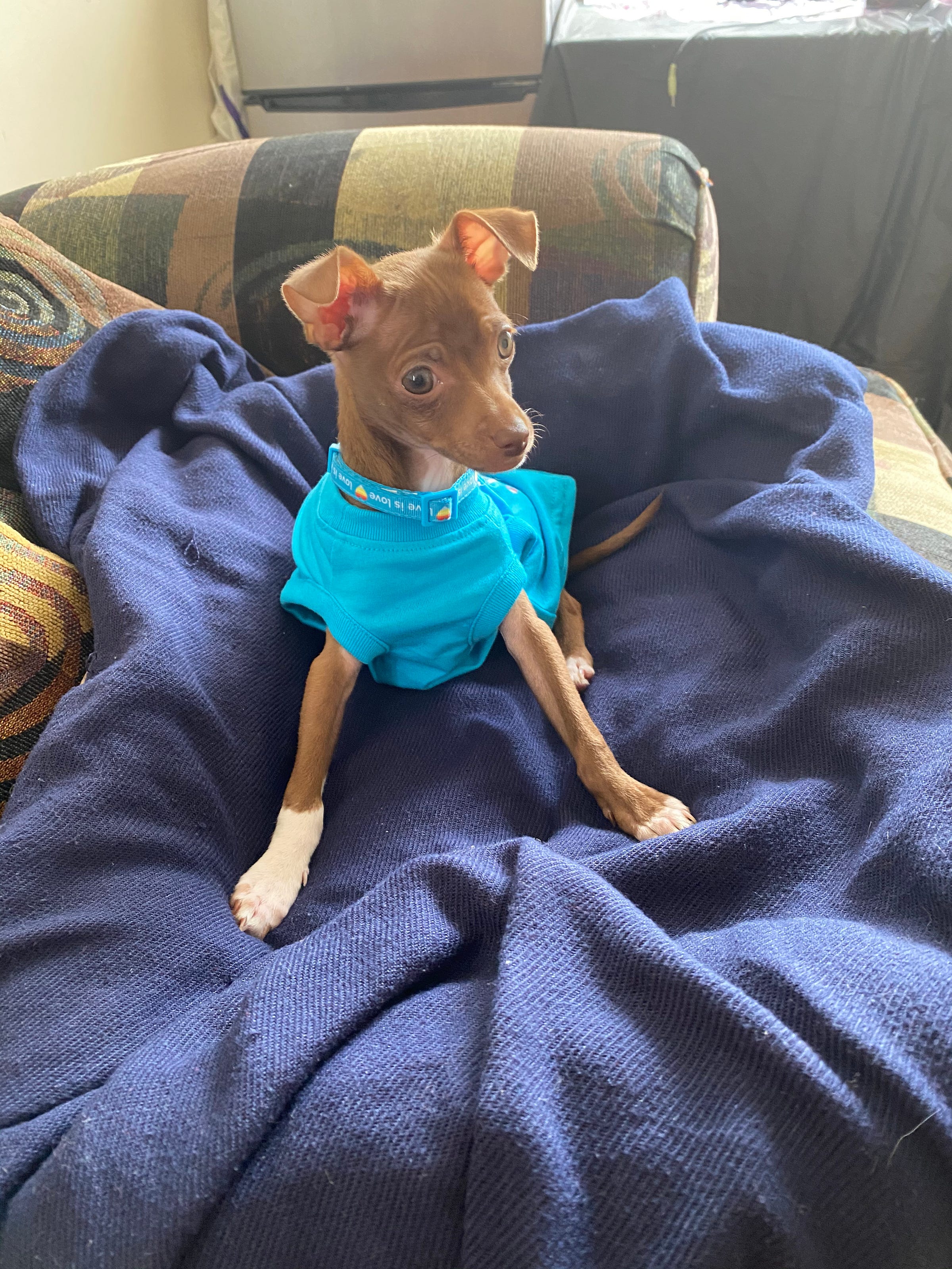 Coco