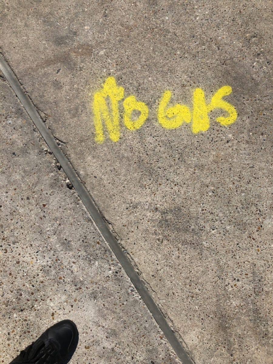 Nicole Sebesta – Medium