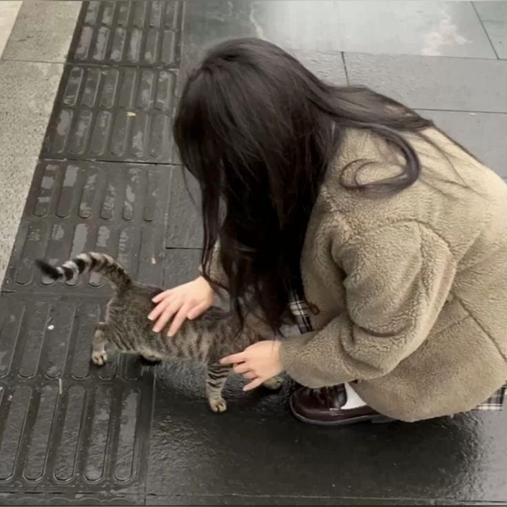 ciel 🌥️ – Medium