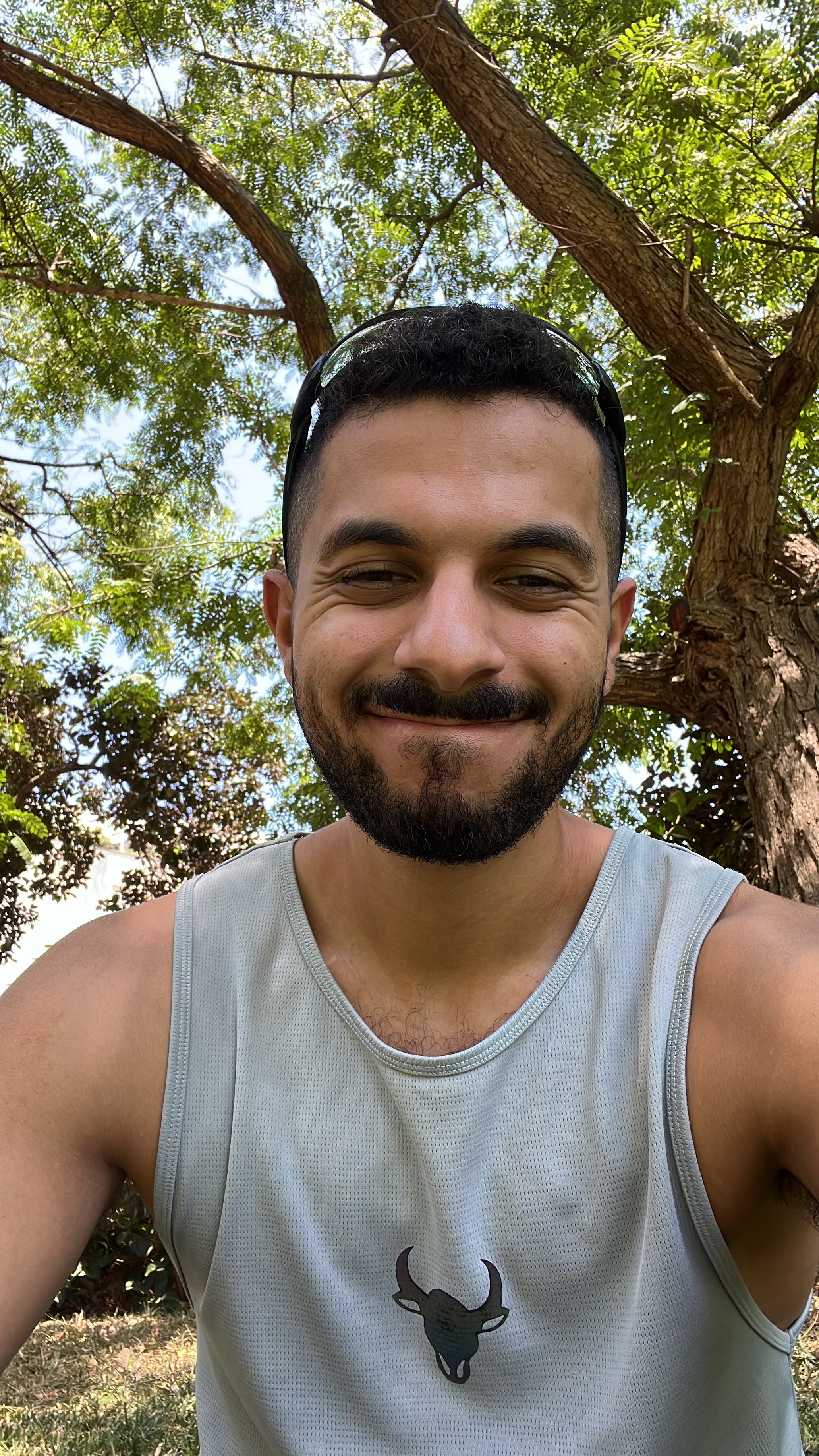 Liron Levi – Medium