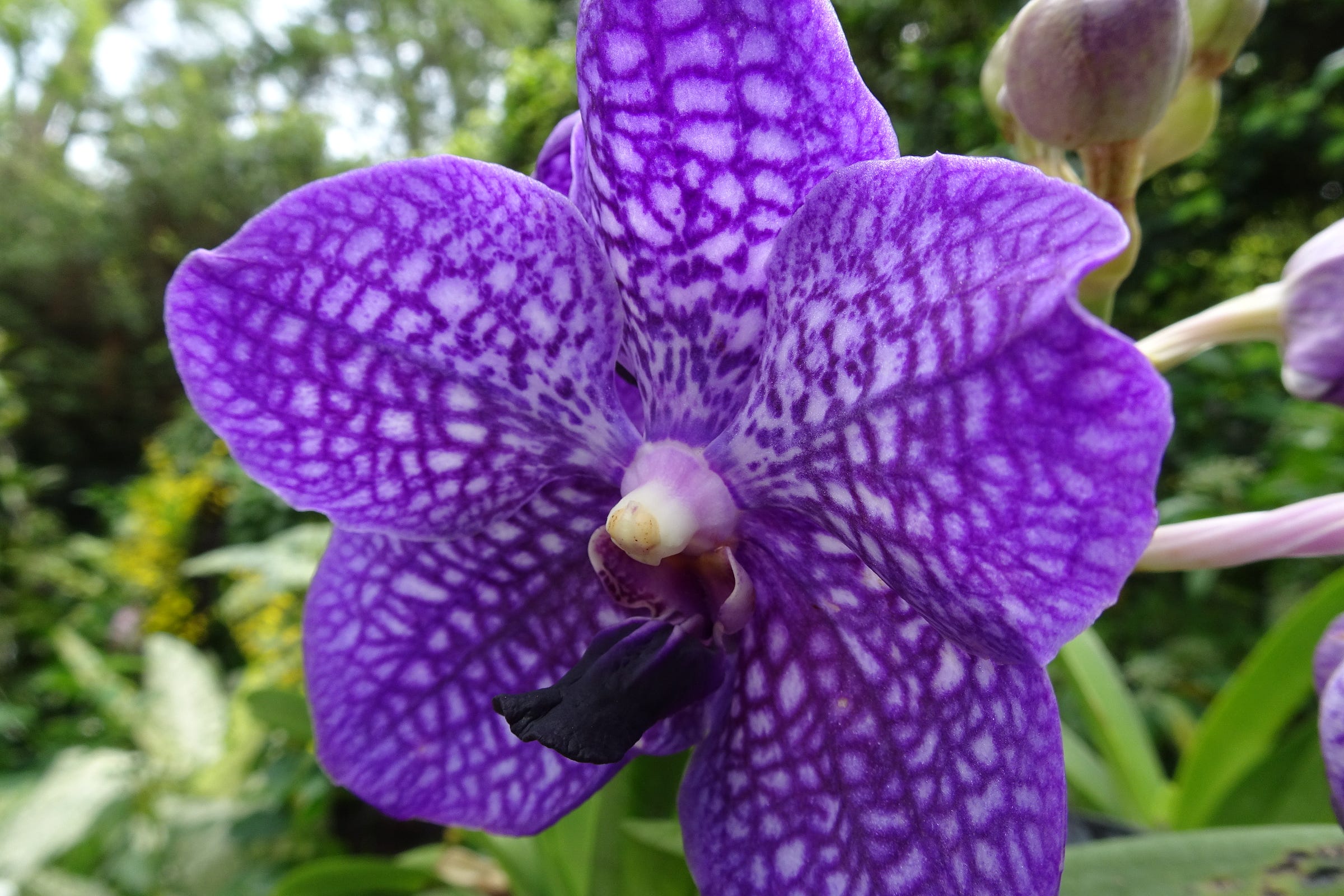 About – Deepayan Chanda – Medium