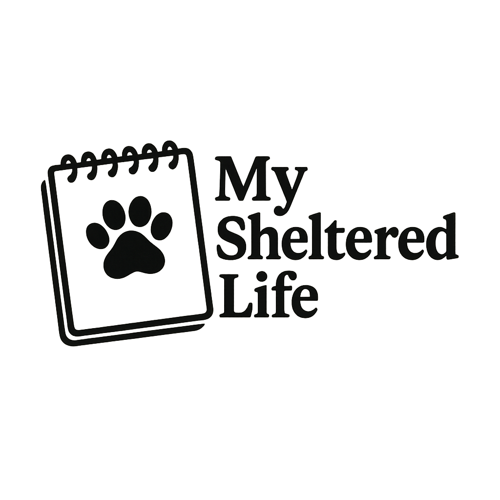 My Sheltered Life – Medium