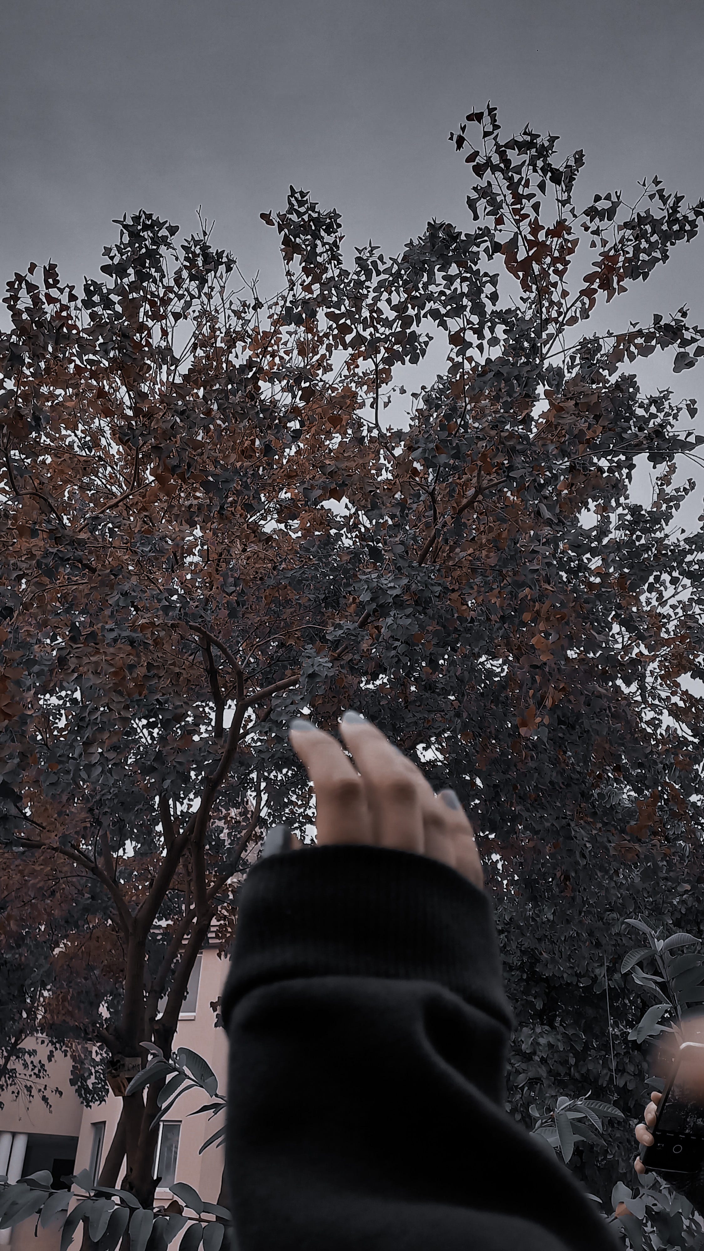 About – Mahnoor Kazmi – Medium