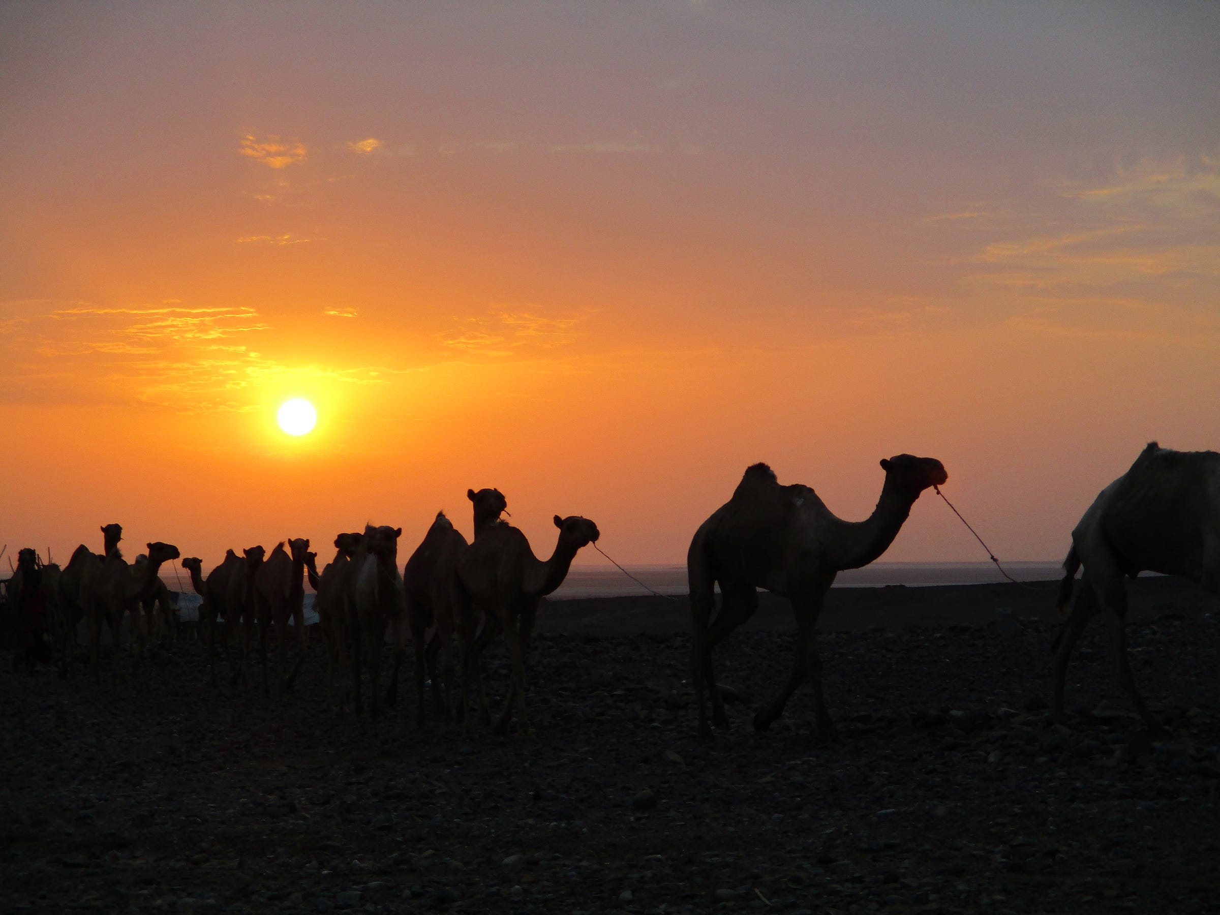 Africanalytic – Medium