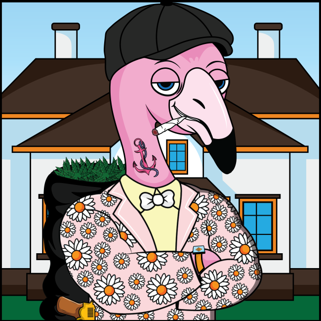 About – Don Flamingo – Medium