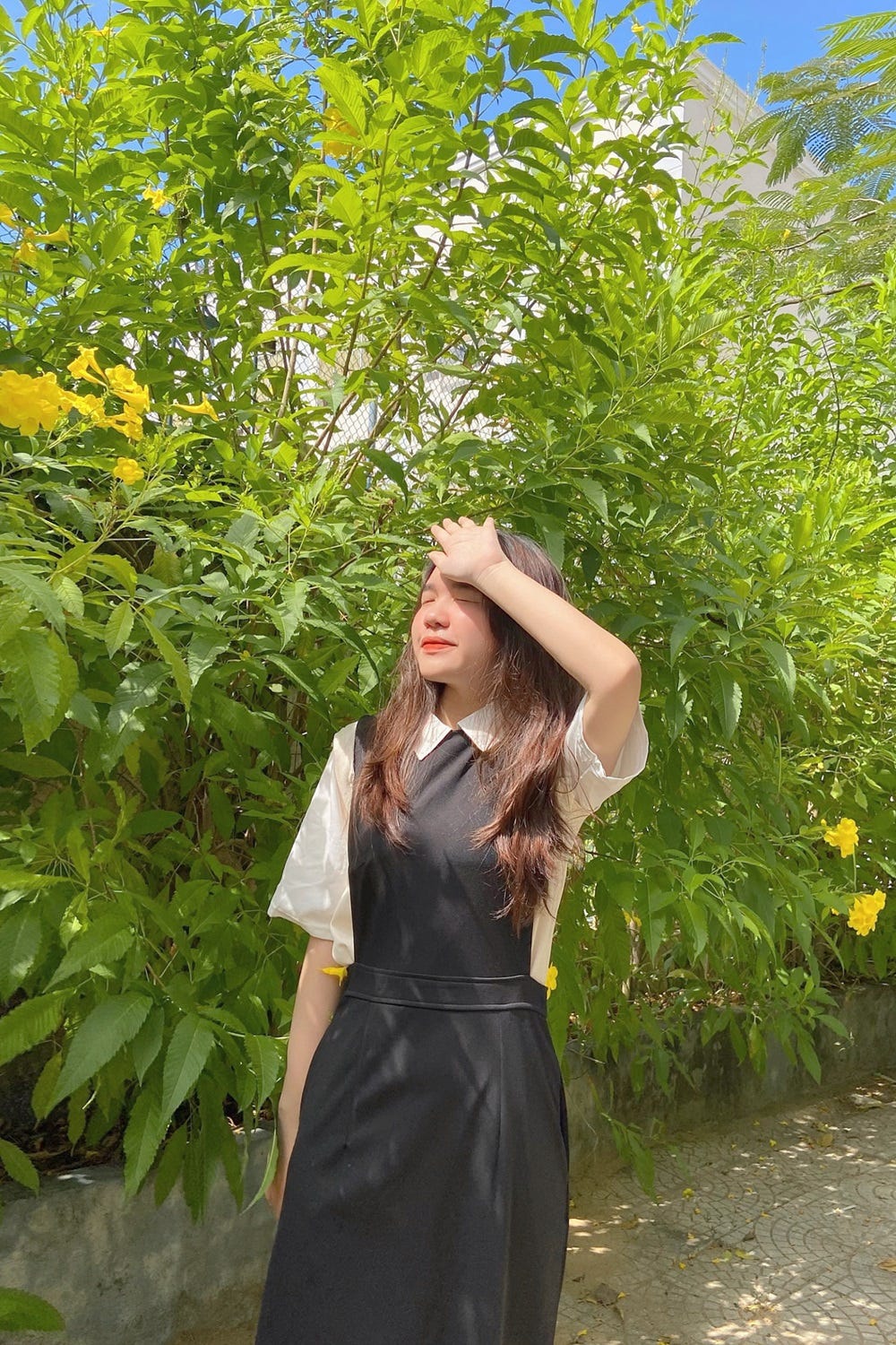 Linh Linh – Medium