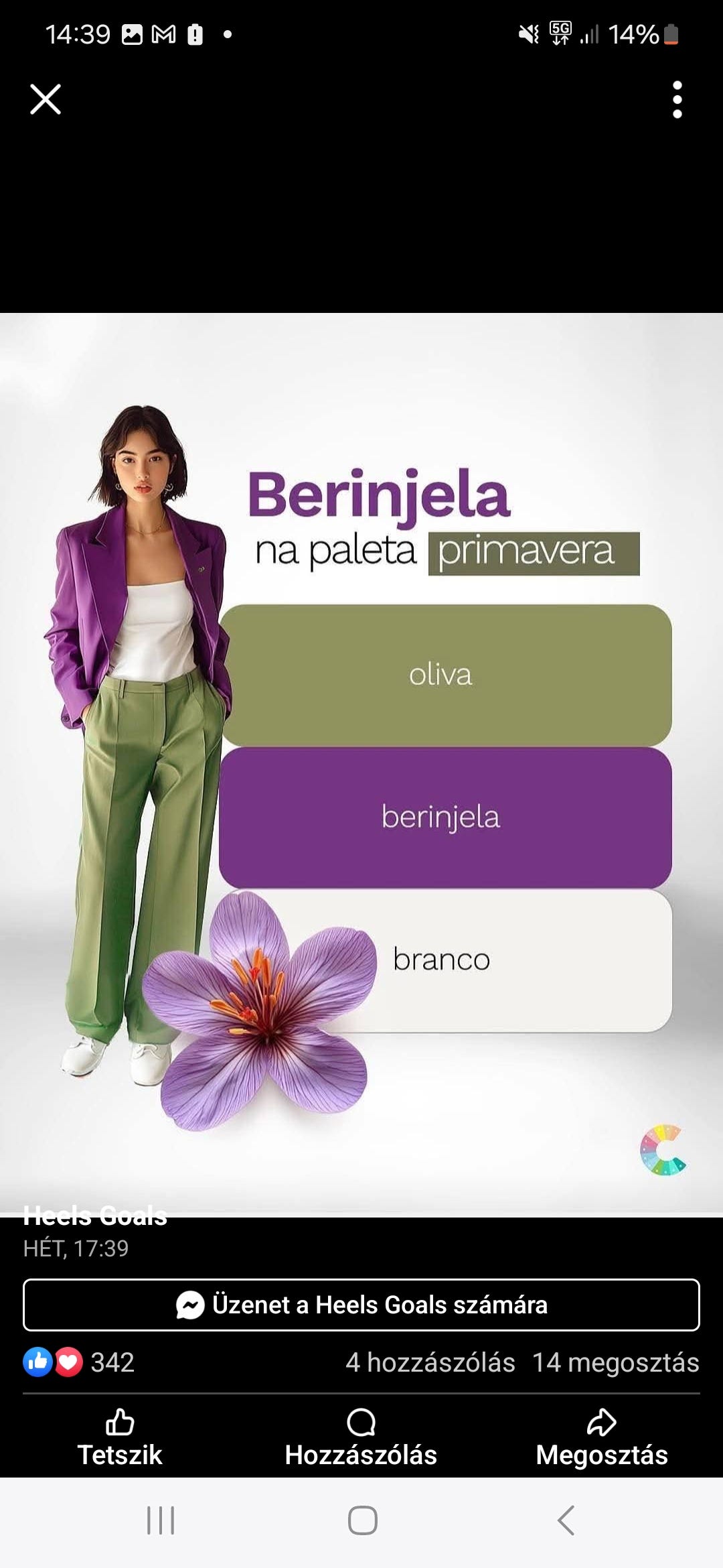 Bernarda – Medium