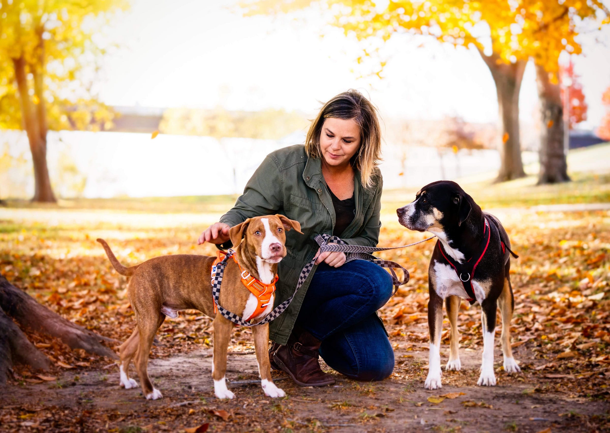 Shelly Wood – Medium