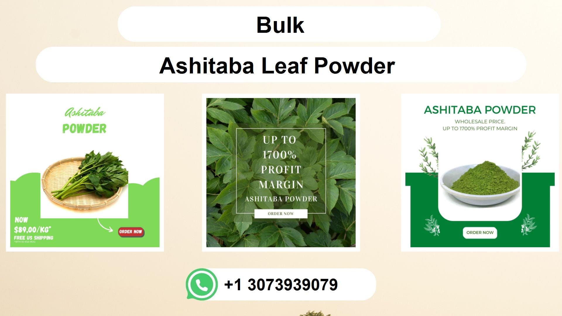Bulk Ashitaba Leaf Powder – Medium