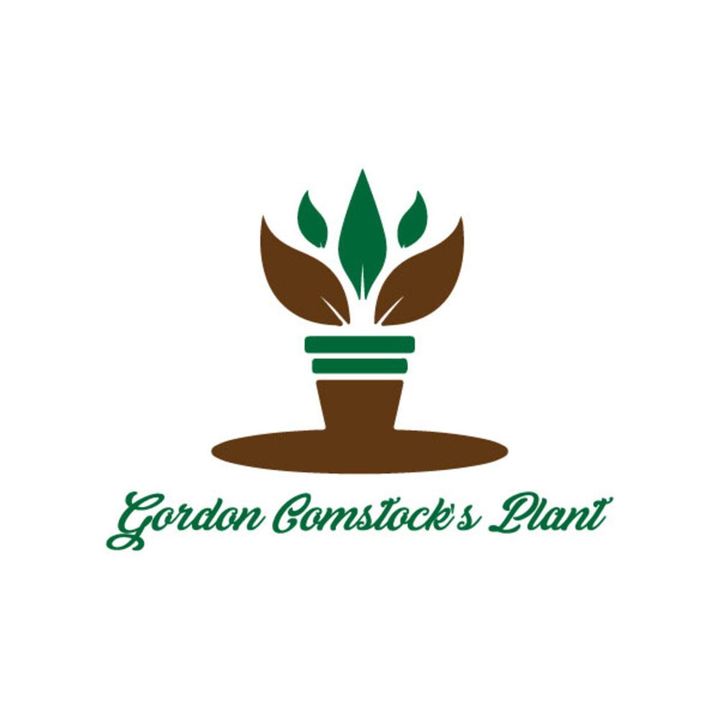 Gordon Comstock – Medium