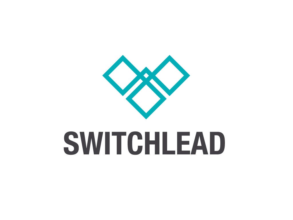 Switch Lead – Medium