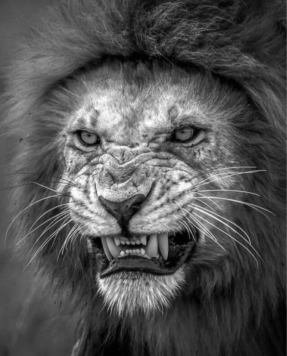 Lawless Life Coaching – Medium