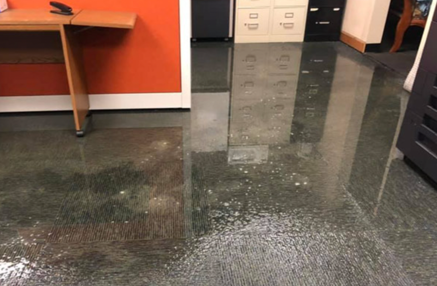 Water Damage Restoration Near Me Seattle – Medium