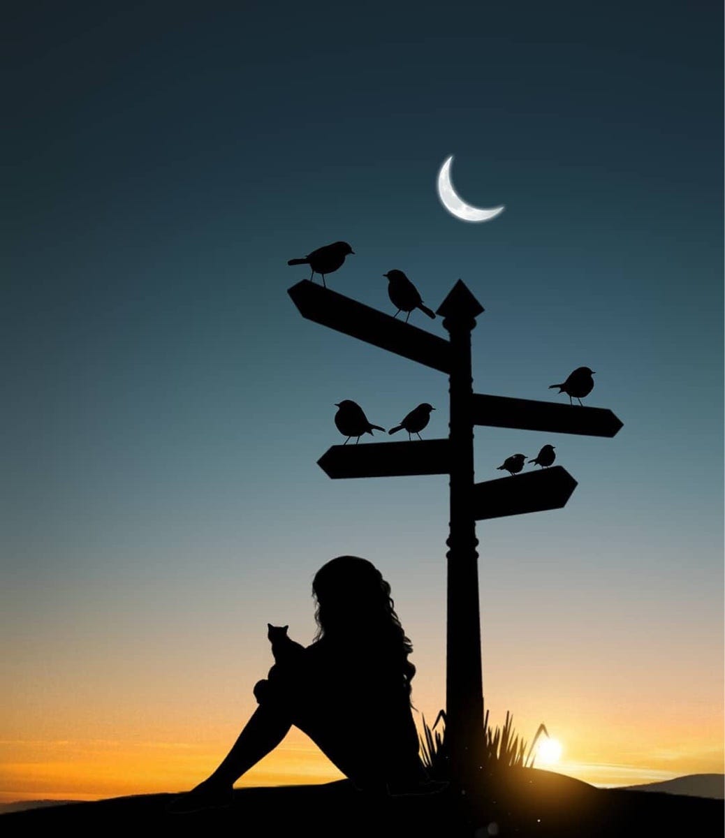 Saruul B. – Medium