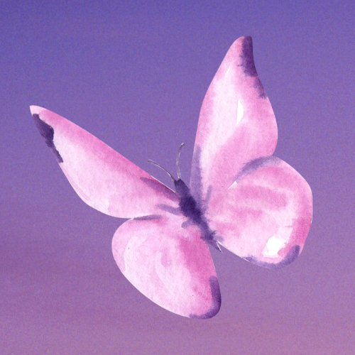 Butterfly Finance – Medium
