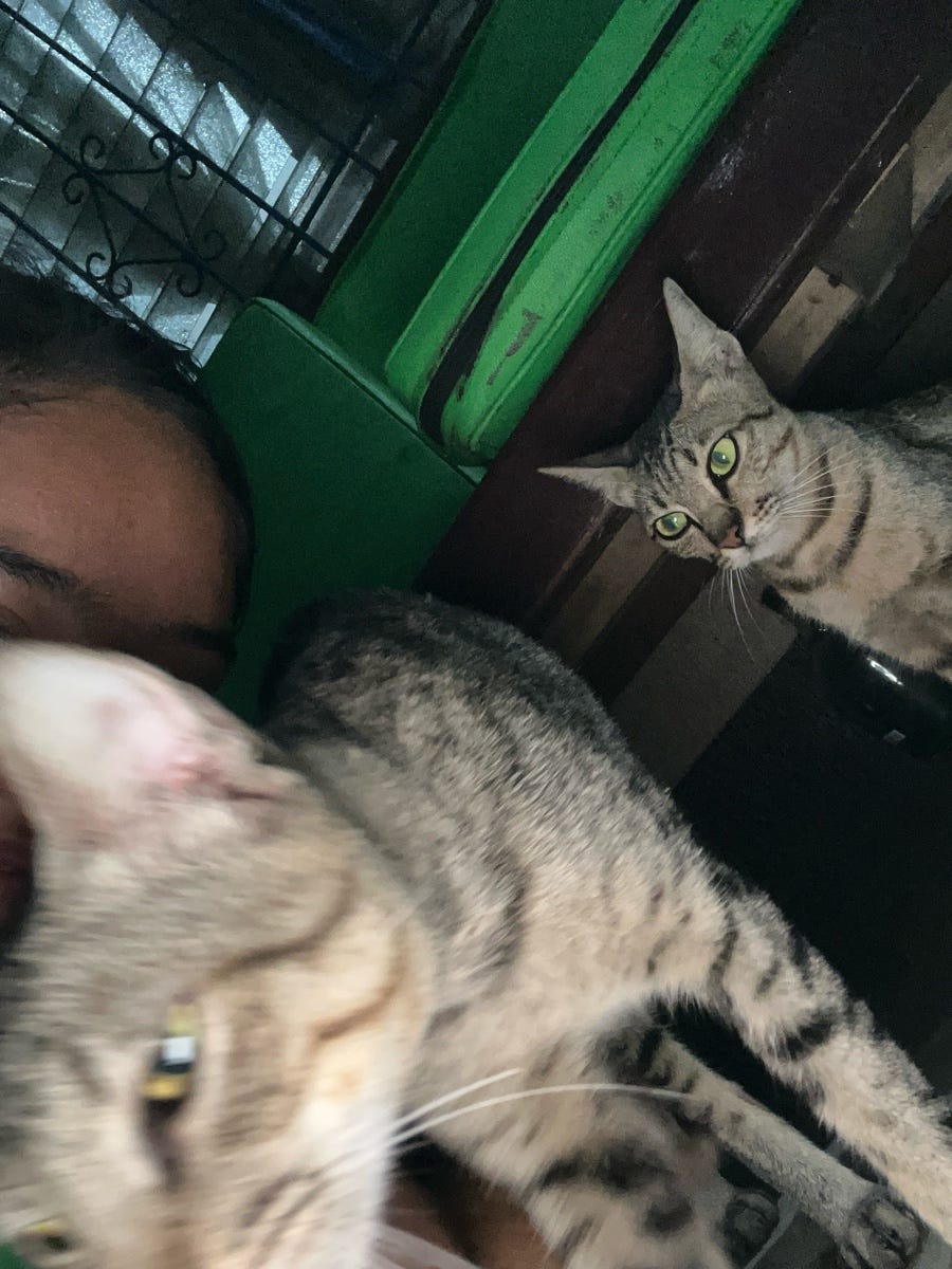 yang on Medium curated some lists