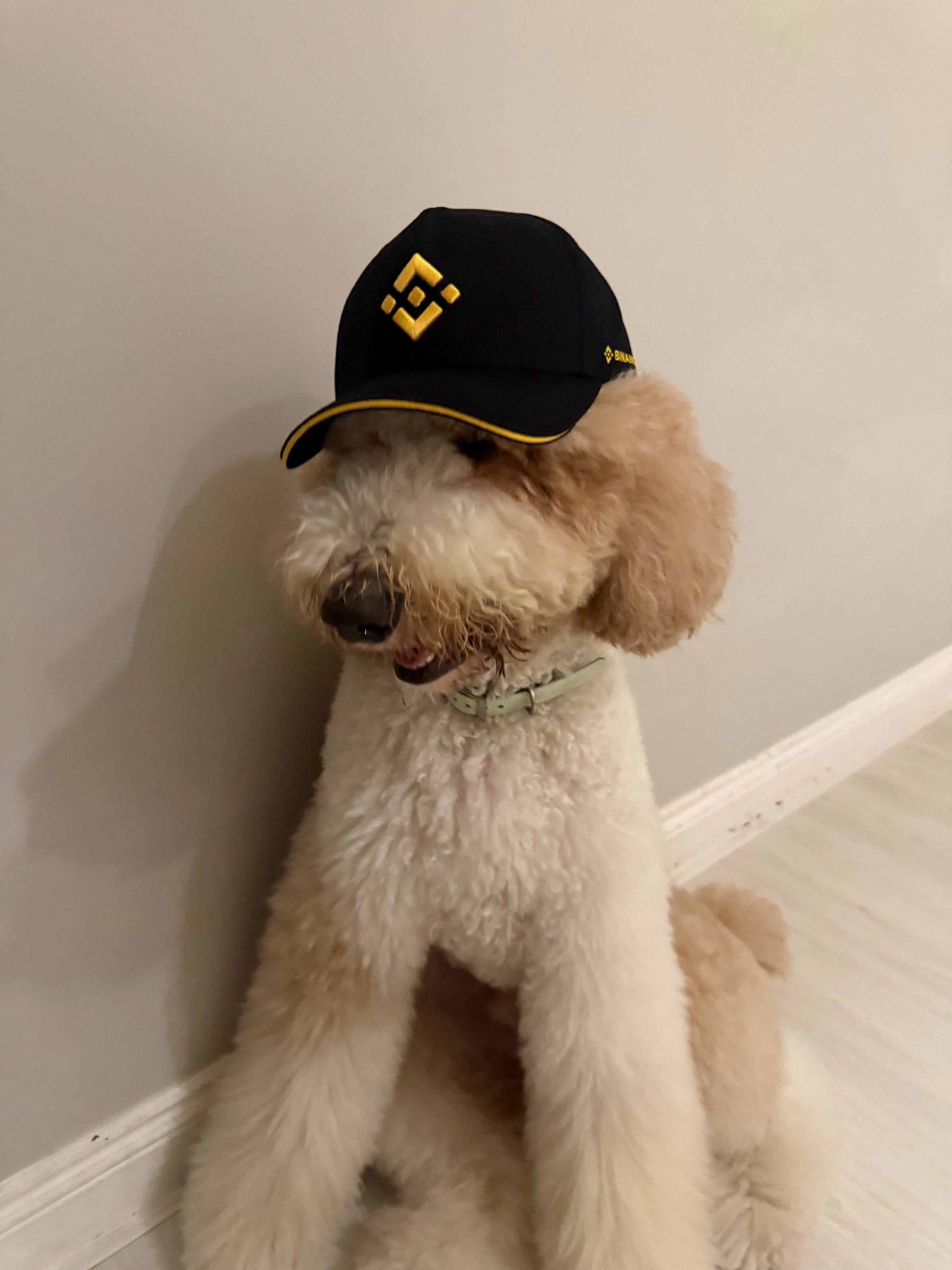 Sadie – Medium
