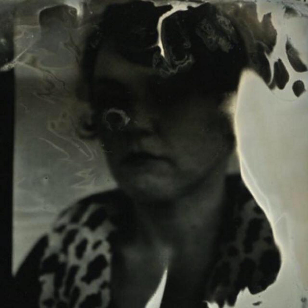 Elizabeth Virginia Levesque on Medium curated some lists