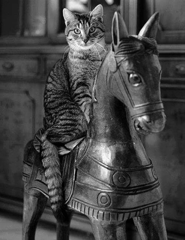 Kevin Michael Fallon – Medium