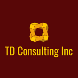 TD Consulting Inc – Medium