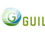 Guild IT Solutions – Medium