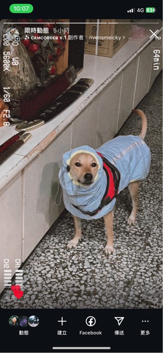 Howard on Medium curated some lists