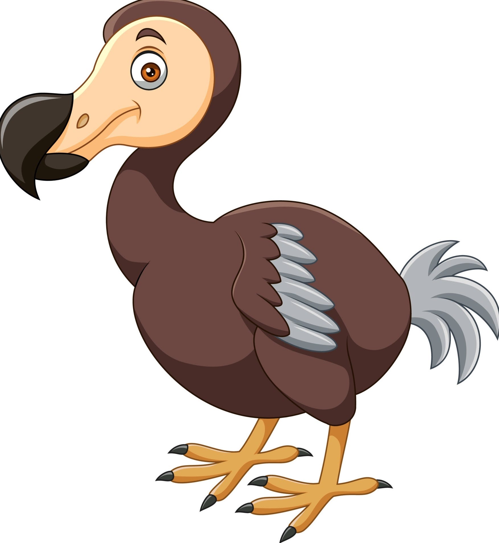 Dodo Merch – Medium