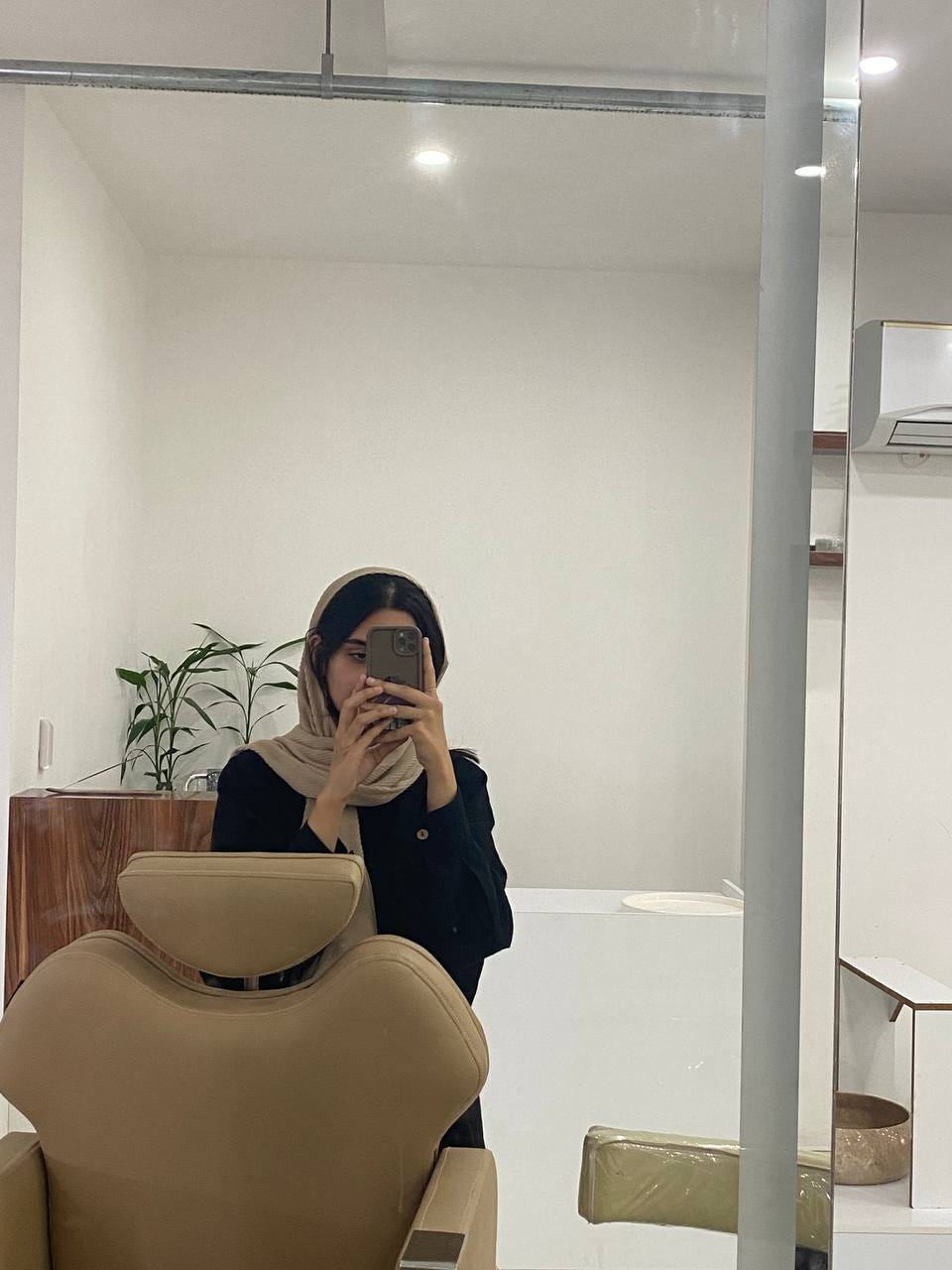 Mona alba – Medium