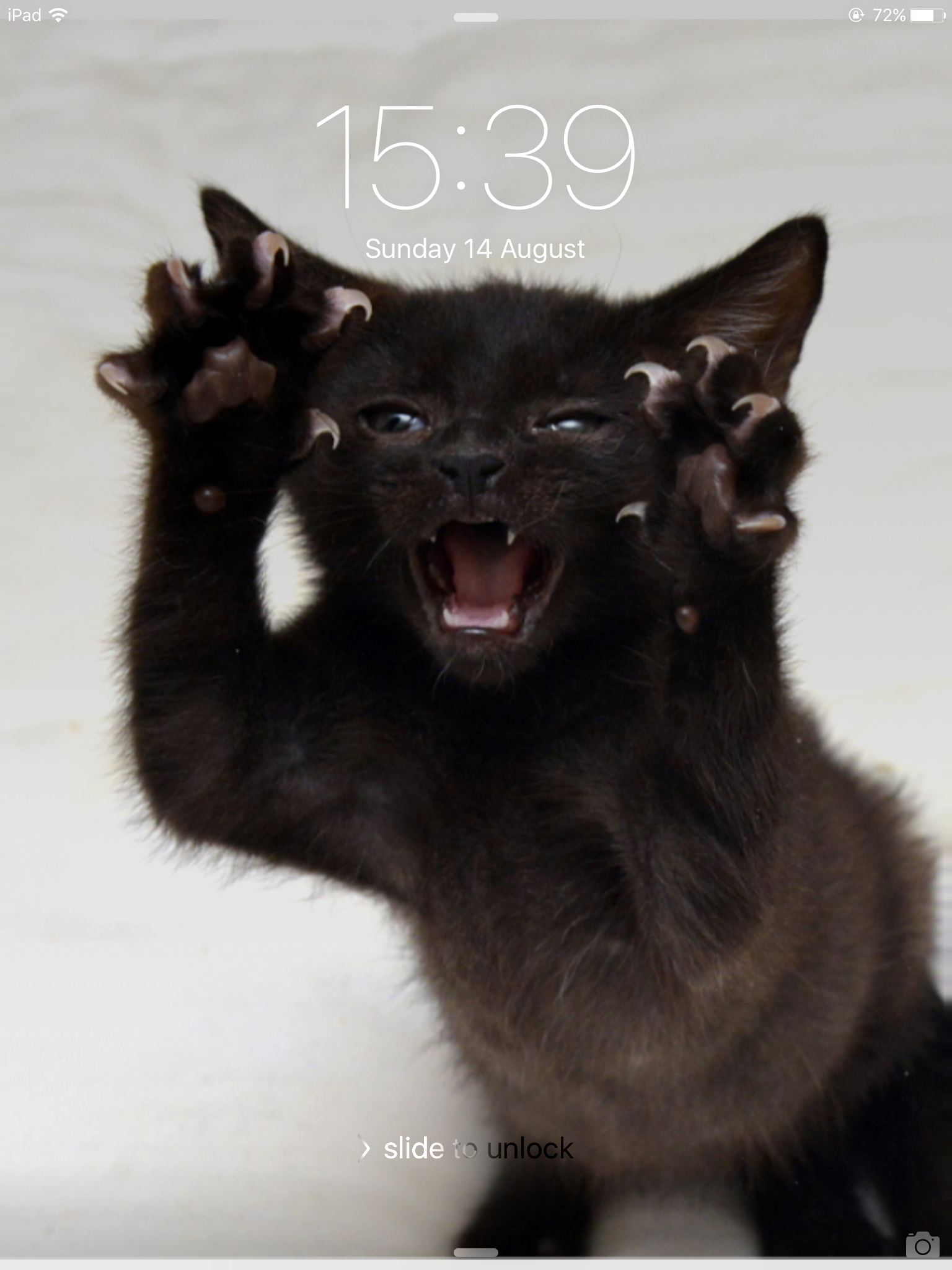 Anita Wright – Medium